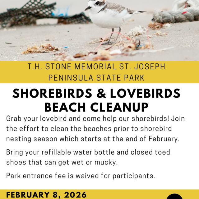 Shorebirds and Lovebirds Beach Cleanup
