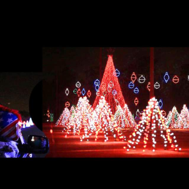 Christmas night of lights store