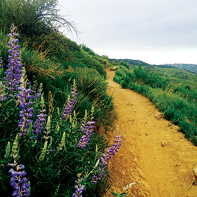 White Ranch Conservation Area White Ranch Exterior Photos & Ideas