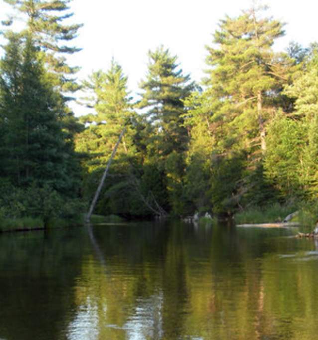 Rivers & Lakes in Grayling MI | Grayling Visitor's Bureau