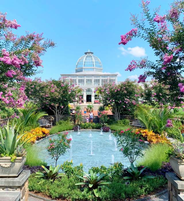 lewis ginter