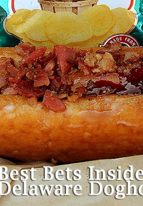 hot diggity dog plymouth