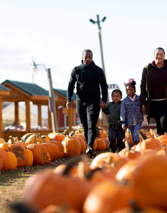 Things To Do in Scranton in Fall | Halloween & Foliage