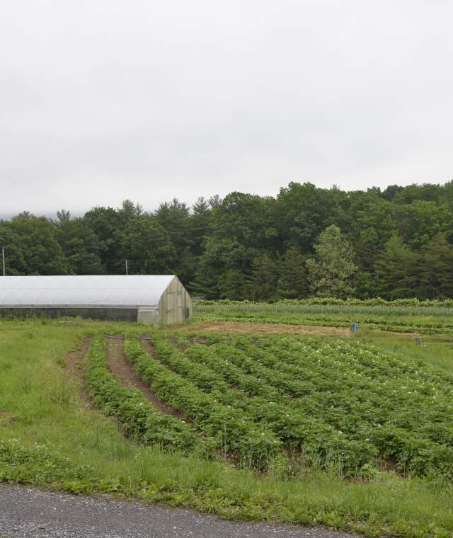 Farms/Stables - Raystown Lake