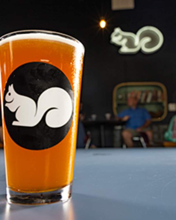 white squirrel brewery