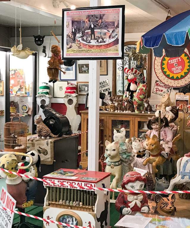 stuffed cat museum