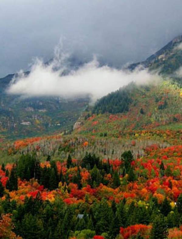 Utah's Top 7 Fall Scenic Drives | Utah Roadtrip Guide
