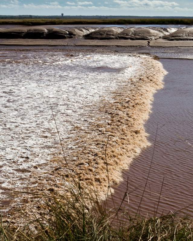 Tidal Bore