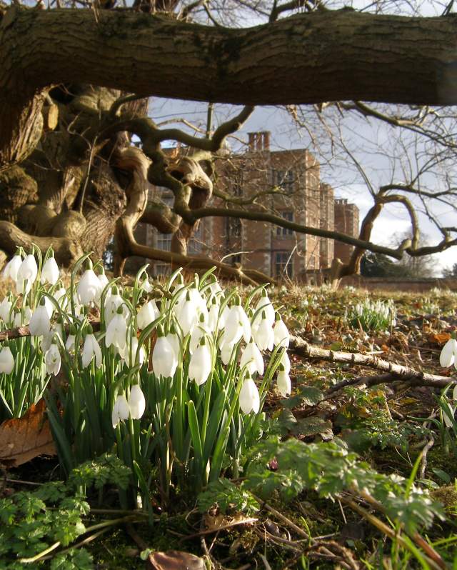 Spring in Lincoln - Seasons | Visit Lincoln