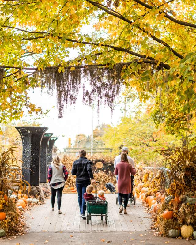 Fall Festivals in Indy | Visit Indy
