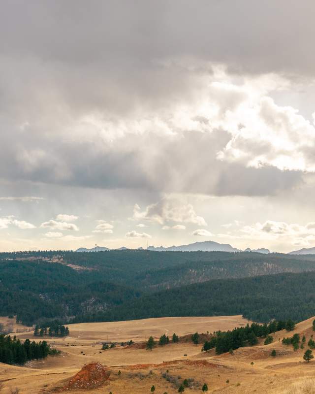 Forever 605 | Sustainable Travel in the Black Hills | Visit Rapid City