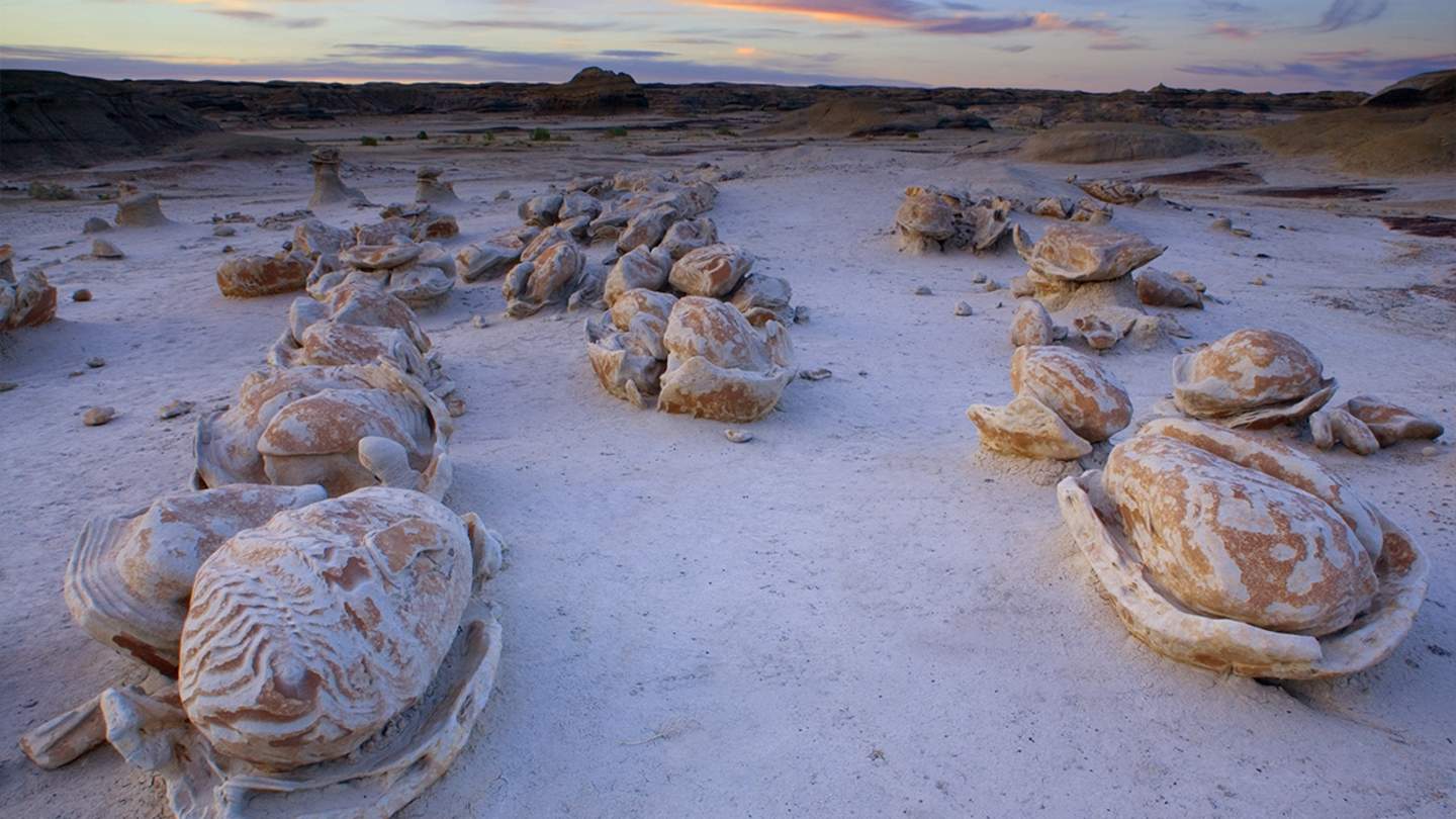 Bisti Badlands Map