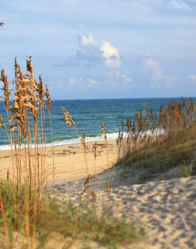 Weather on The Outer Banks, NC | When to Visit OBX