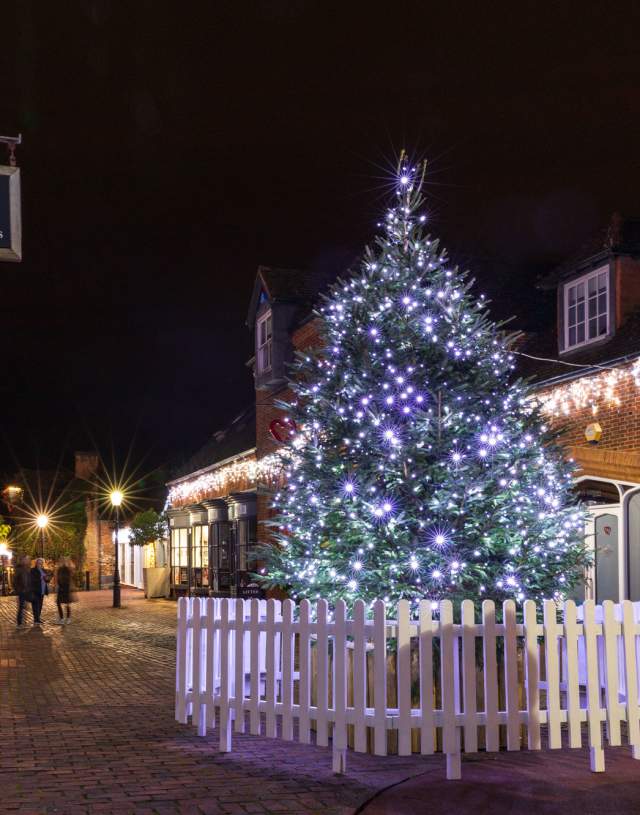 Experience the Magic of Christmas in Waverley – Farnham, Godalming ...
