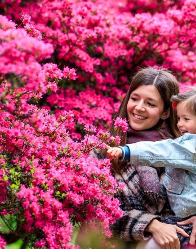 Welcome to Surrey | Visit Surrey: Surrey's Official Tourism Website