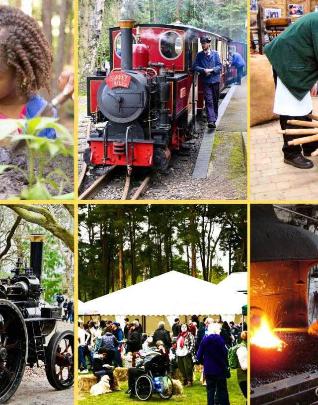 Find Festivals, fairs and fetes in Surrey | Visit Surrey