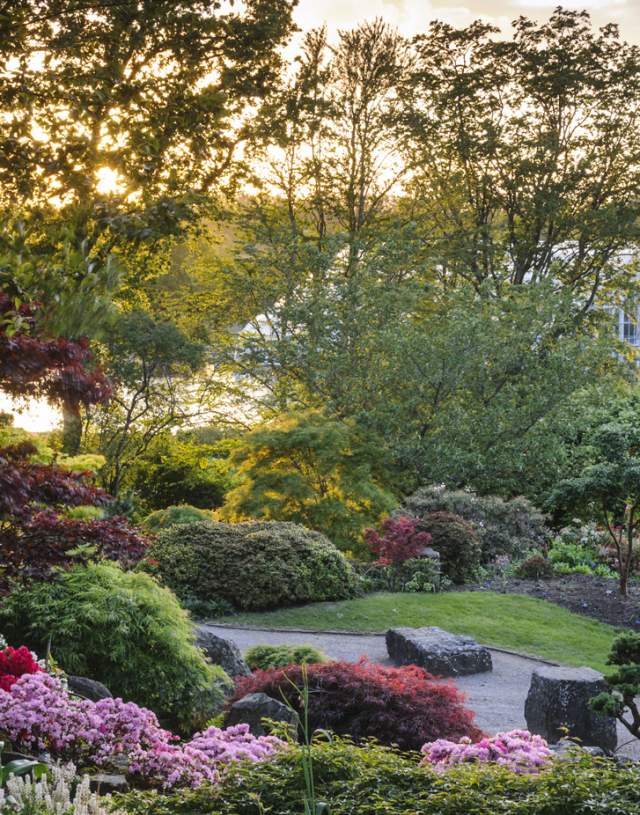 Top Highlights in Surrey | Visit Surrey