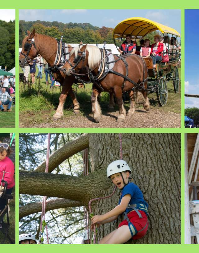 What’s On in Surrey - Official guide to What's on in Surrey | Visit Surrey