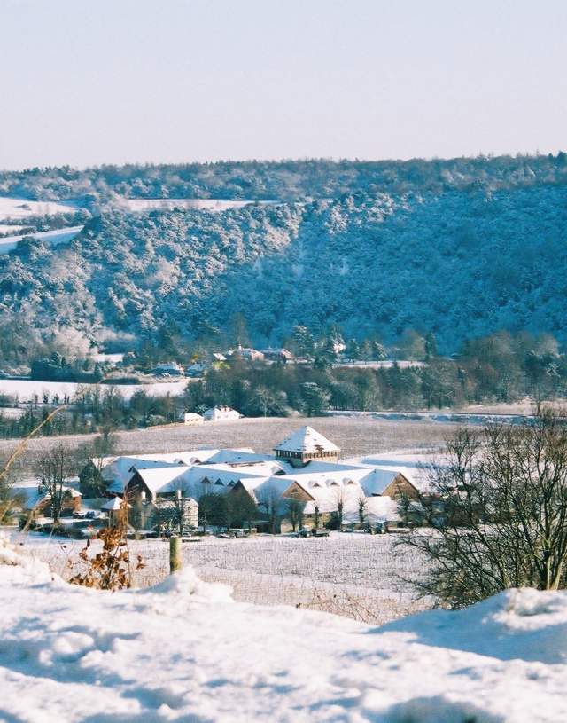 Christmas parties and dining in Surrey this Christmas 2024 | Visit Surrey