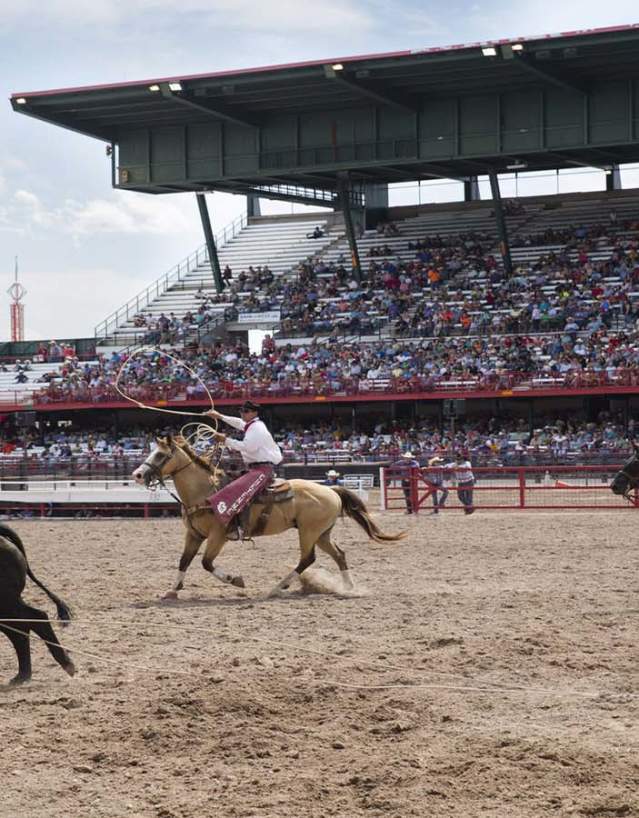 Rodeo Cowboys Arena