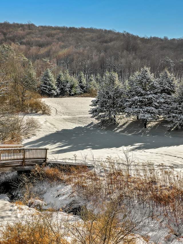 Events Calendar and Schedule - Allegany County, The Mountain Side of ...