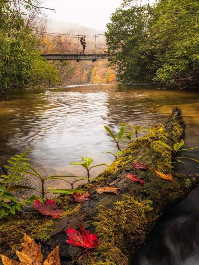 10 Fall Things to Do This Season in Greenville, SC