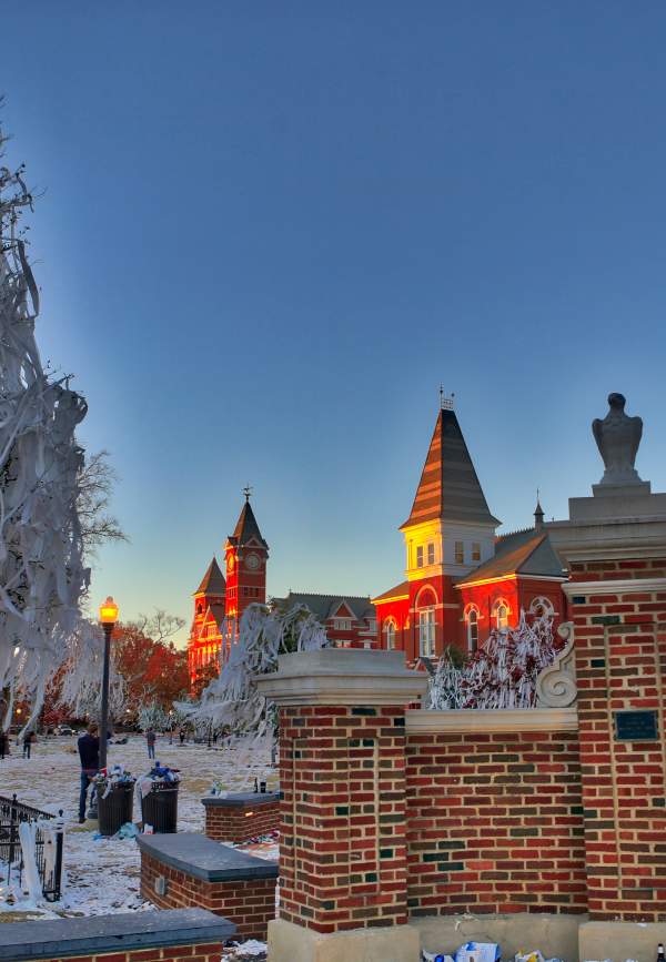The History Between Toomer's Oaks