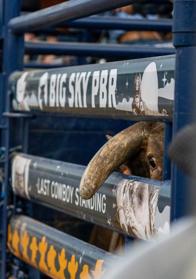 Big Sky's PBR | Montana's Premier Bull Riding Event