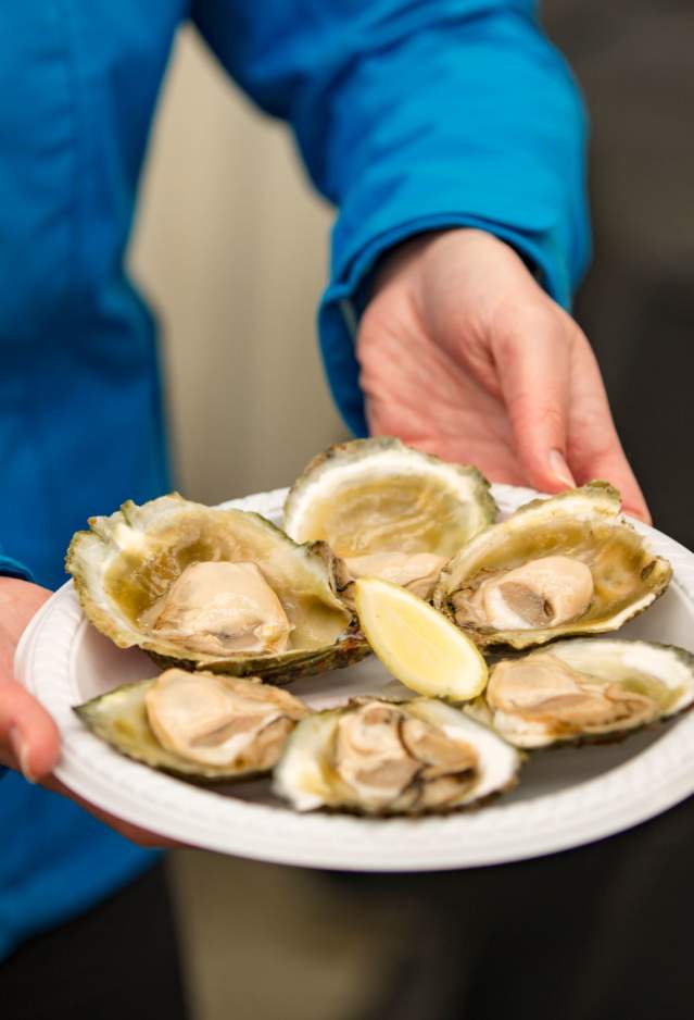 how to cook bluff oysters