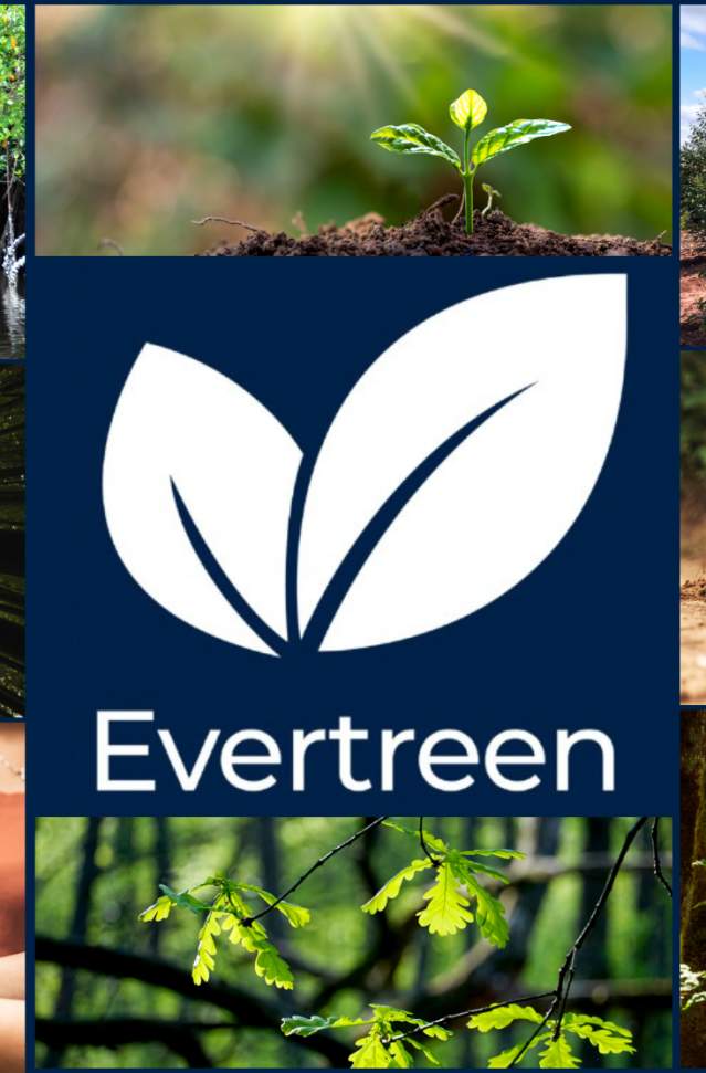 Evertreen