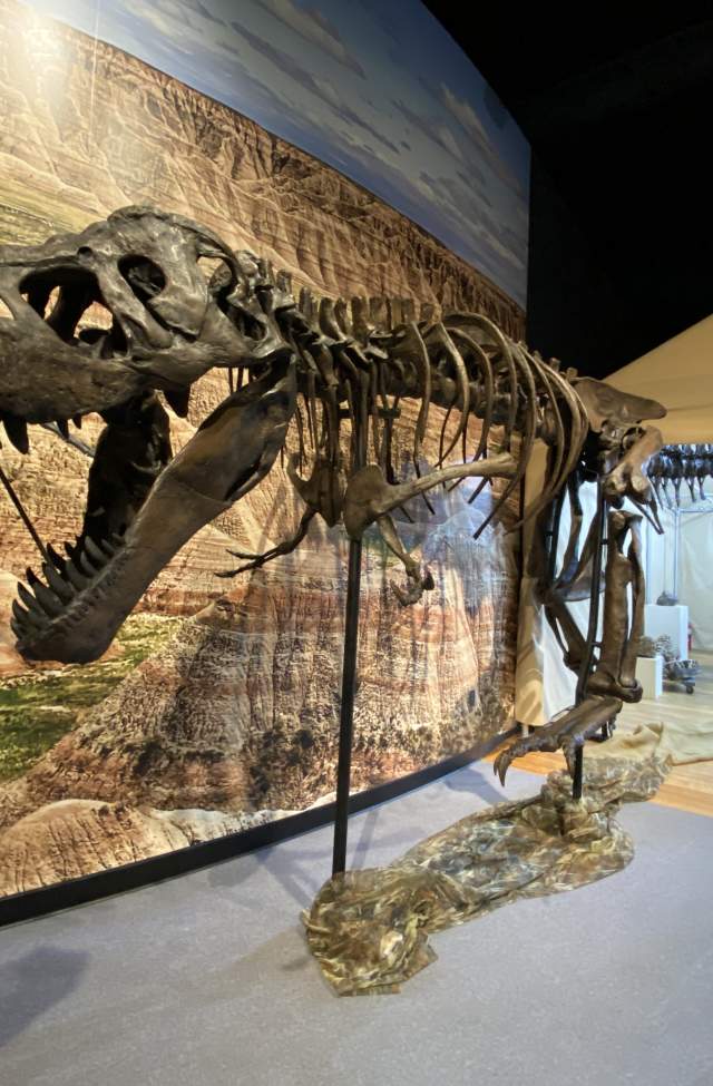 Trek-Worthy Attractions Along Central Hills Loop