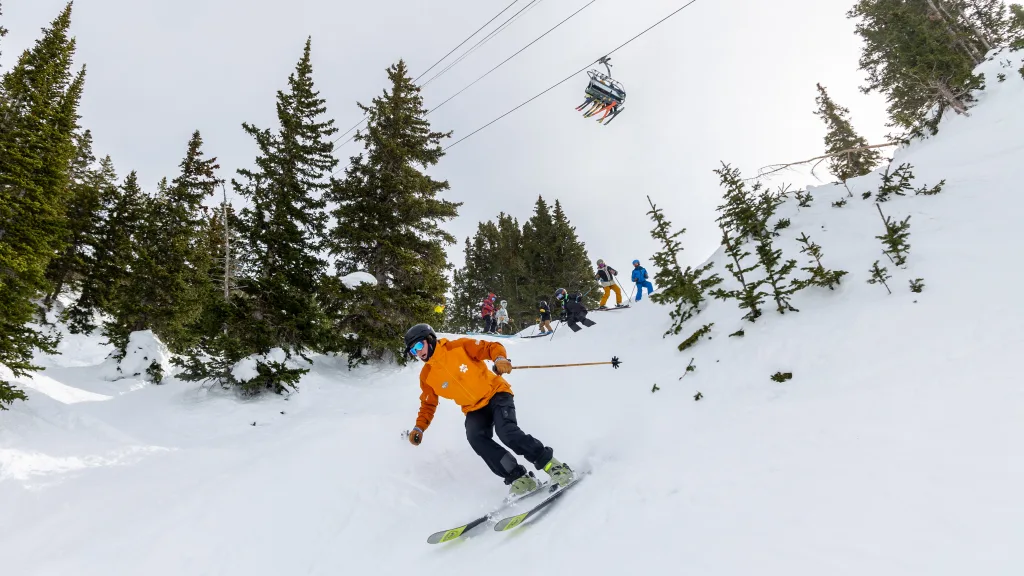 does alta allow snowboarding