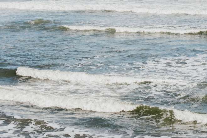 Dog-Friendly Newport RI | Find Pet-Friendly Hotels, Beaches & Attractions