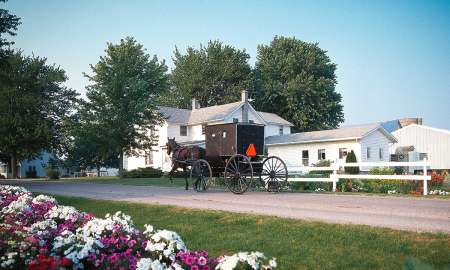 Middlebury Fall Festival