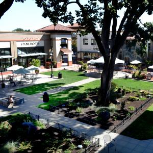 Eugene-Springfield Neighborhood Guide | Eugene, Cascades & Oregon Coast