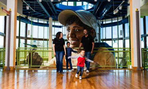 Columbia SC | Restaurants, Hotels & Things to Do