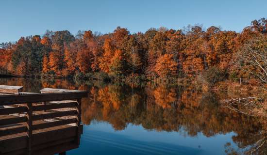 Rock Hill & Fort Mill Visitor's Bureau | York County SC Home