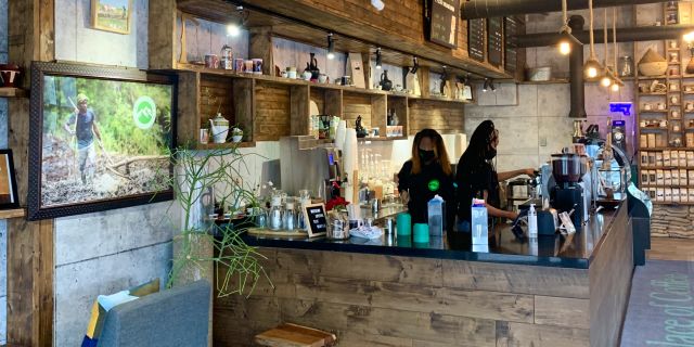 A Local’s Guide to The Danforth | Destination Toronto