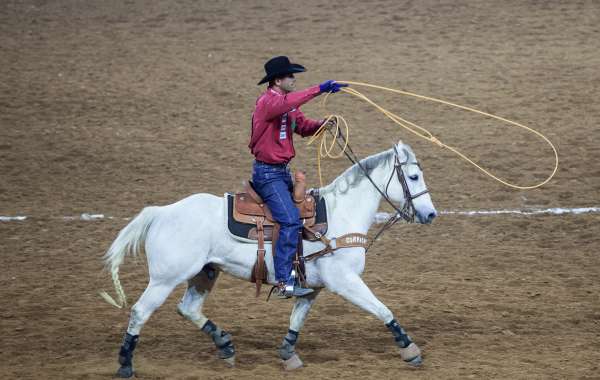Texas Rodeos & Events | Houston & San Antonio
