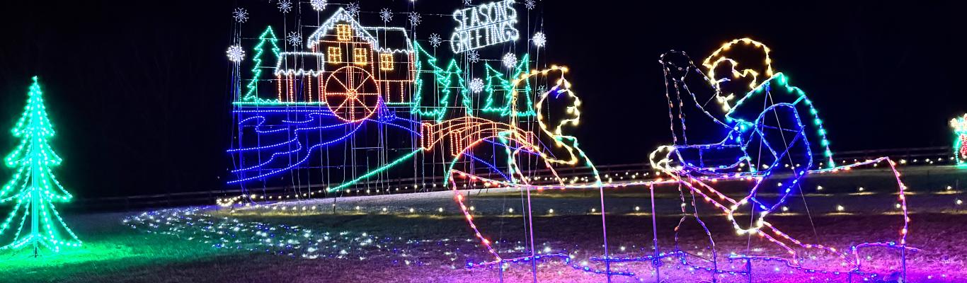 Lightshow christmas lights store