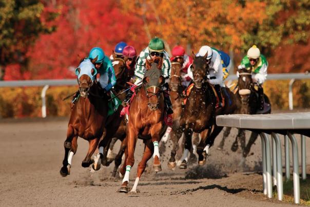 Posts in Outdoors | Leisure and Travel Blog