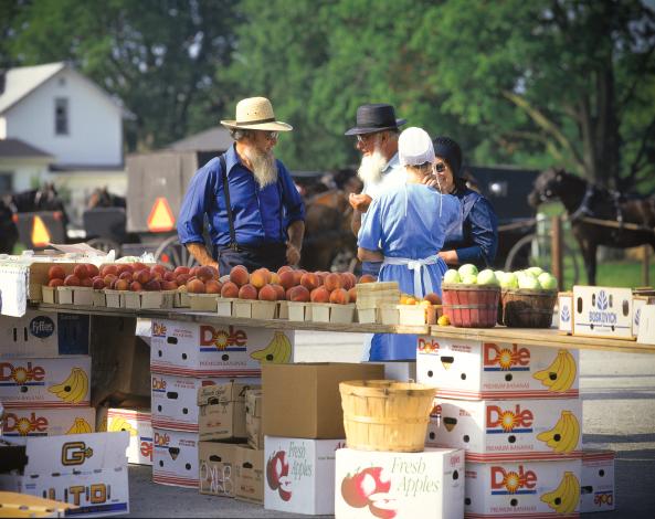 Amish Experience for Groups