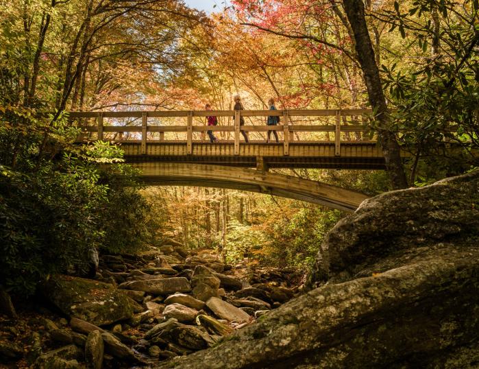 Sustainability in Boone