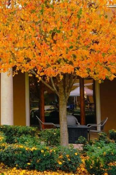 Temecula Valley, CA Visitors Guide To Hotels, Wineries, & Things To Do