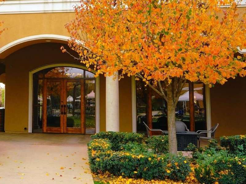 Visitor Information | Visit Temecula Valley