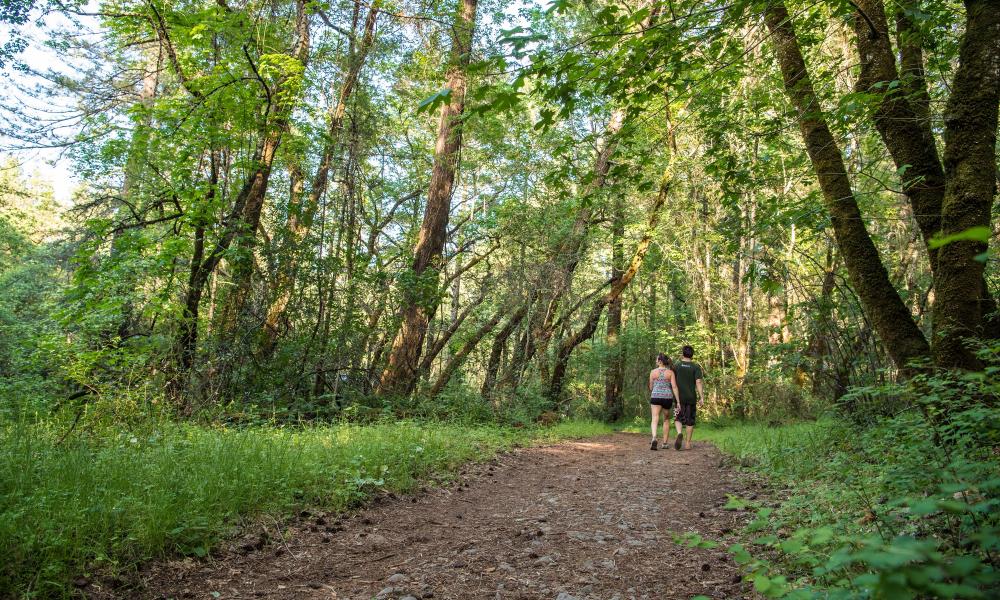 Top 8 Places to Camp in the Napa Valley - The Visit Napa Valley Blog