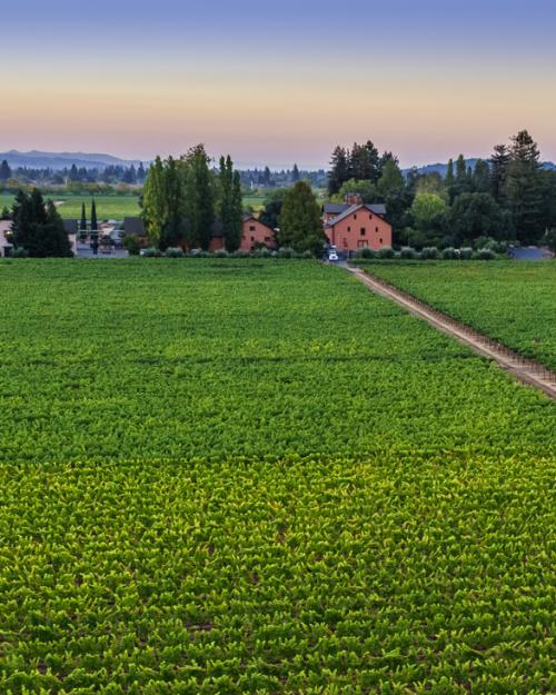 Napa Valley Hotspots: Where to Stay, Sip & Explore