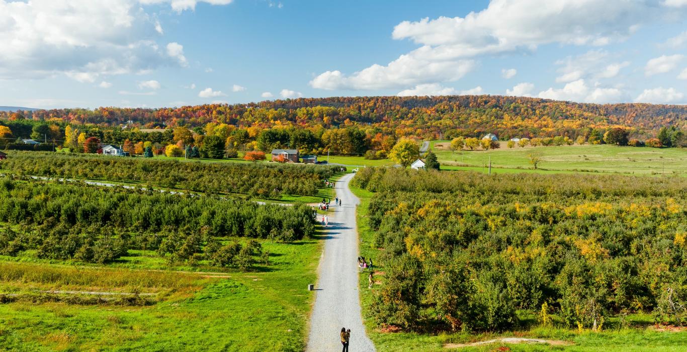 fall orchards