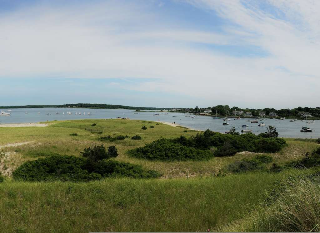 Birds in Rhode Island | A Fall Season Birding Guide