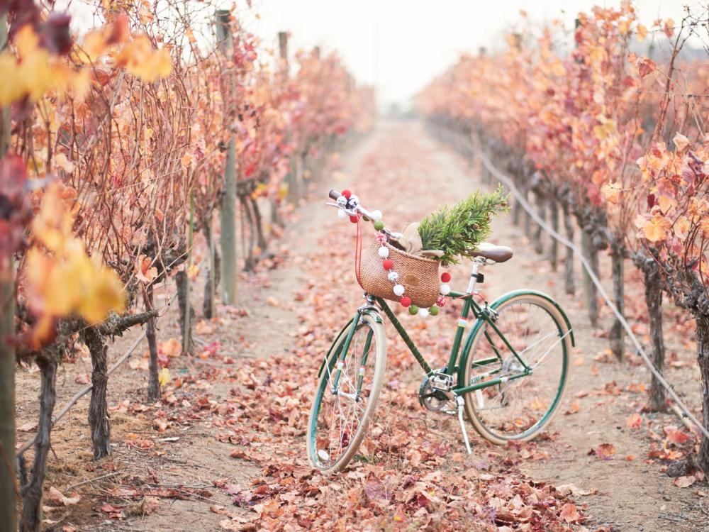 Napa Valley Holiday Gift Guide - The Visit Napa Valley Blog